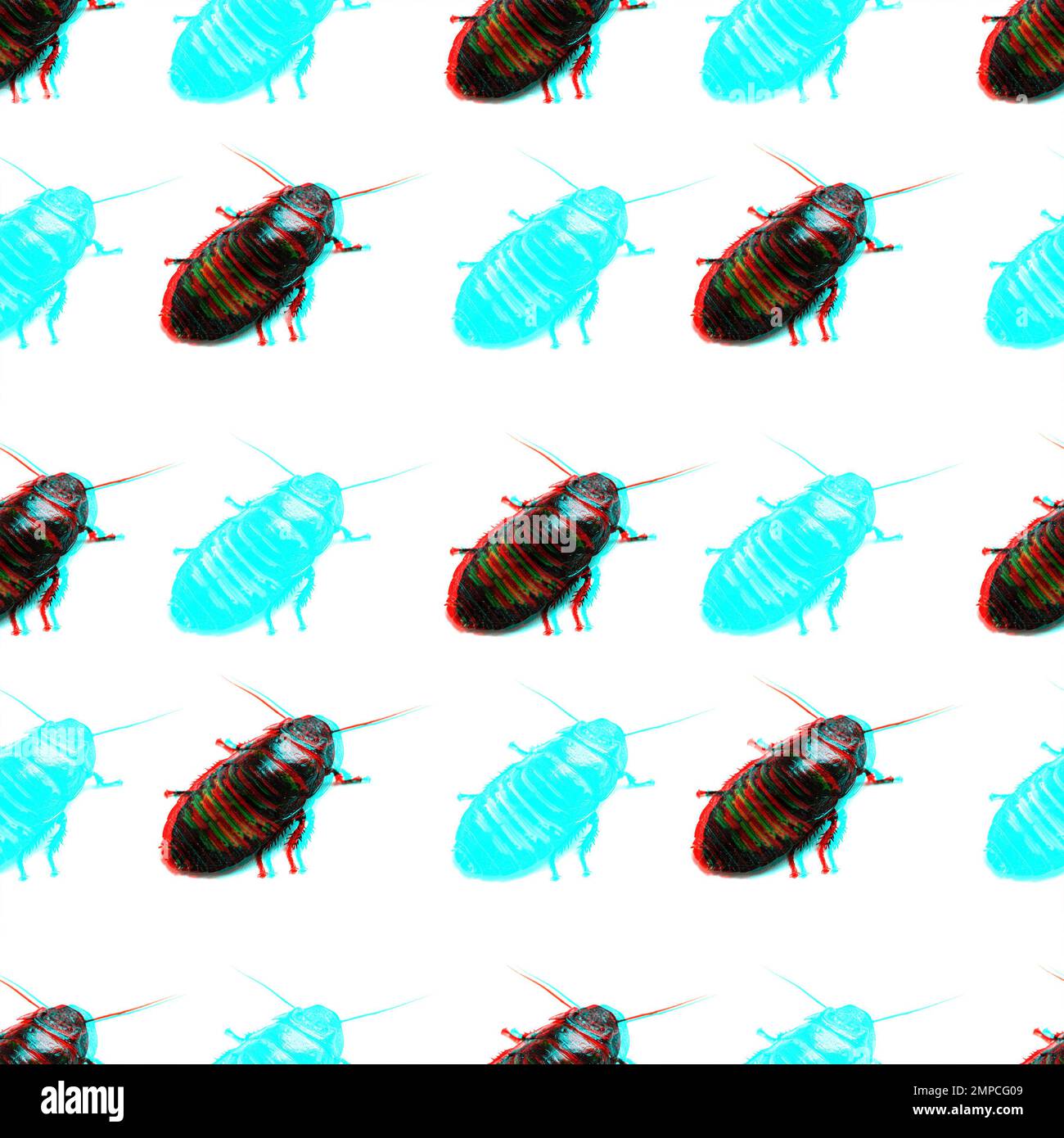 Huge madagascar hissing cockroach with glitch effect, seamless pattern ...