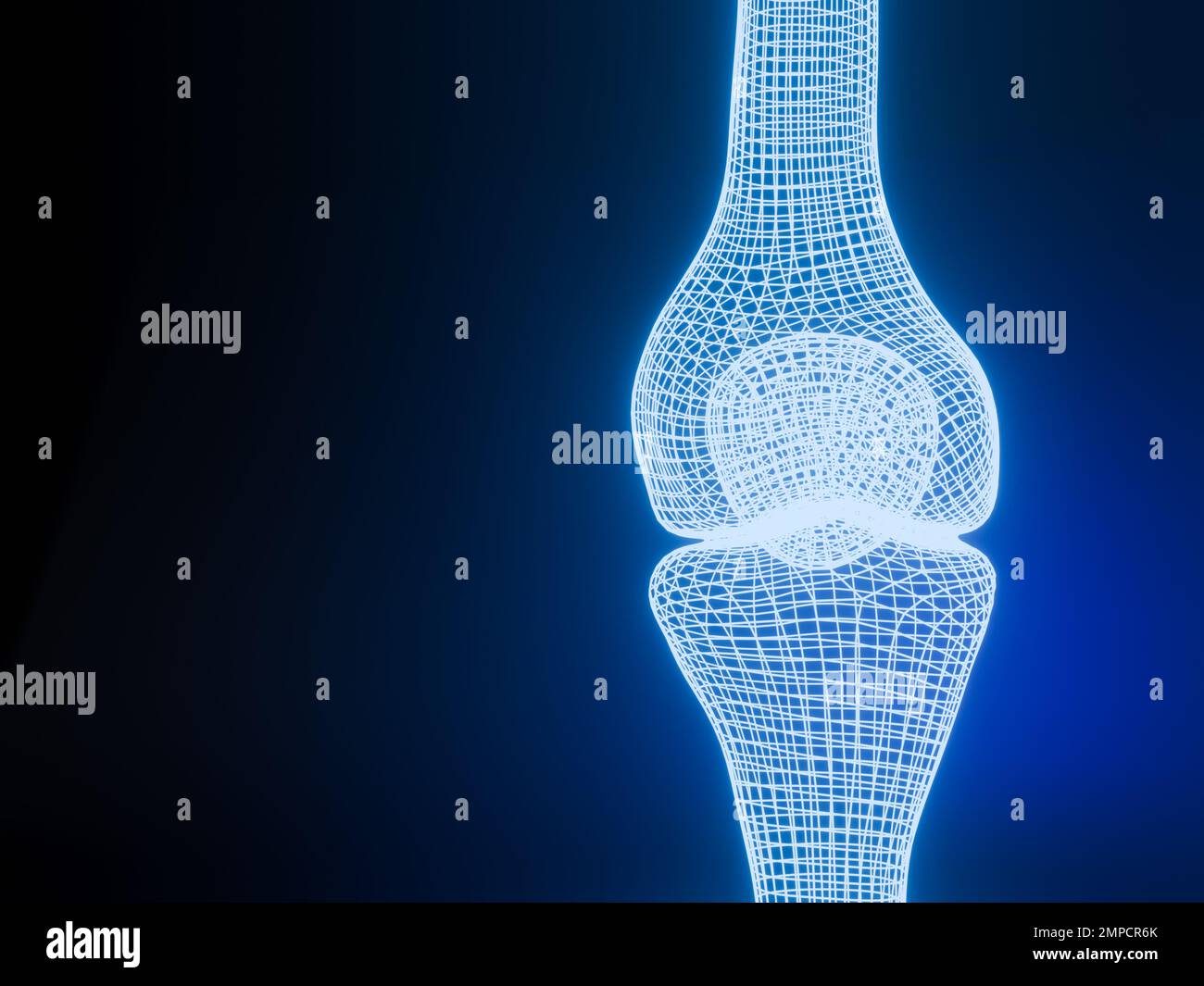 Knee joint 3D rendering Blue glowing wireframe on black background with ...
