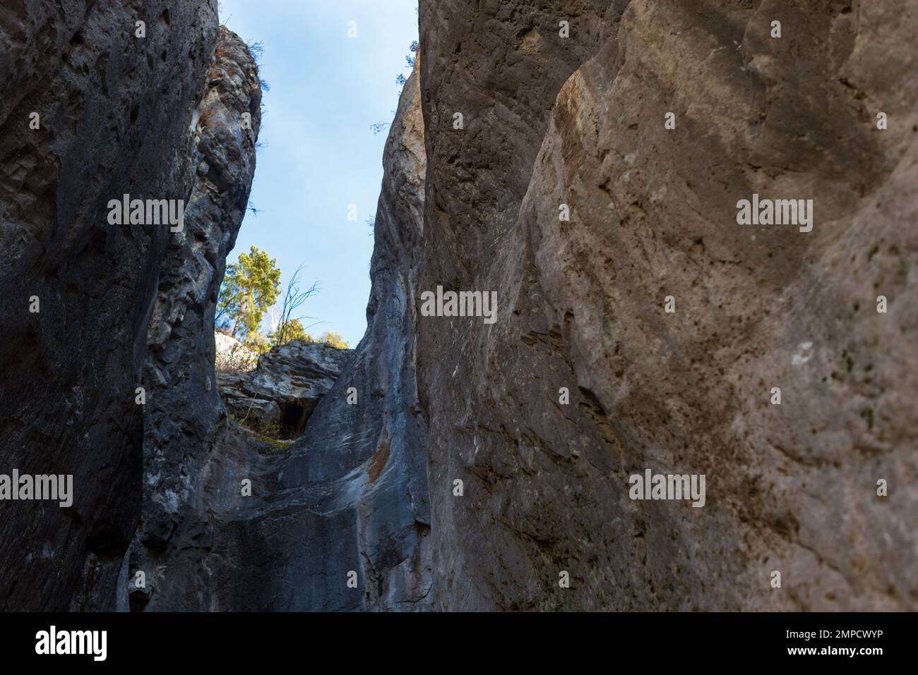 Narrow stone gorge with a strip of sky and a tree in Altai Stock Photo ...