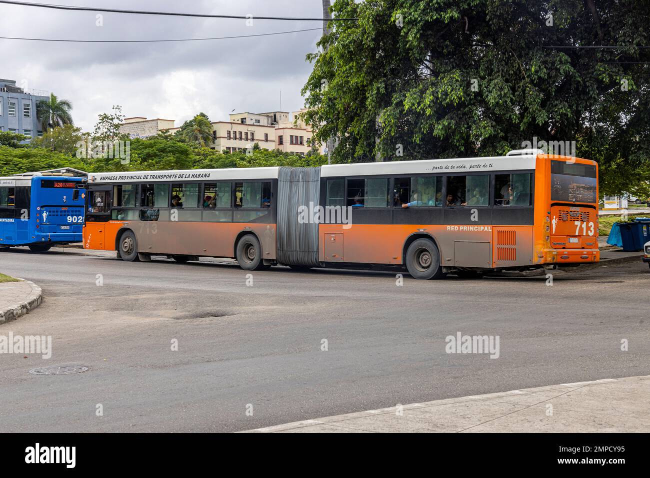 Articulated bus at stop, Avenue of the Presidents, Vedado, Havana, Cuba ...