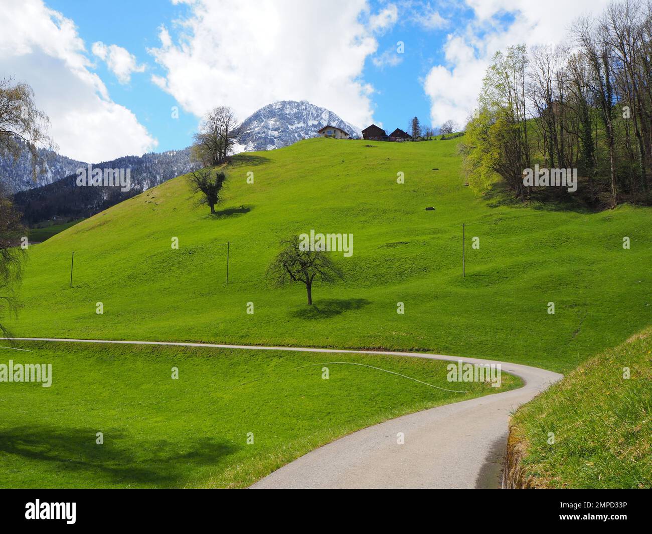 A scene of beautiful nature with a path splitting through the lush ...