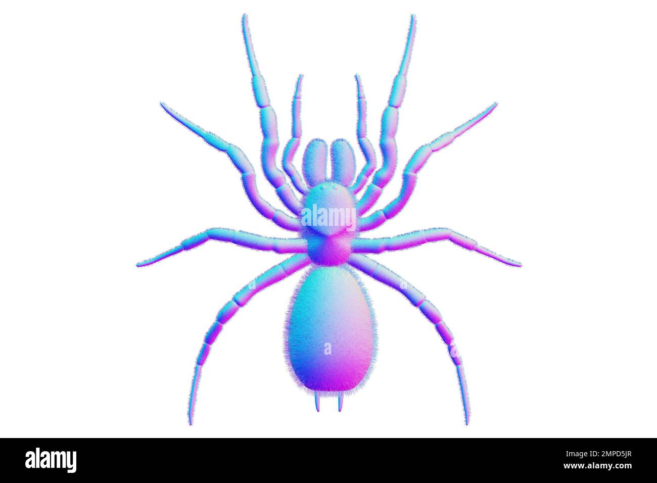 3d rendered of Spider Tarantula. Largest spider in terms of leg-span is ...