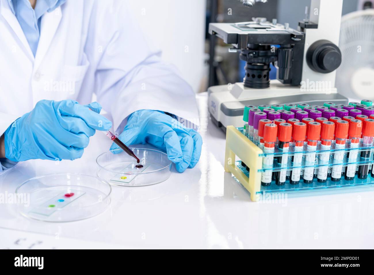 Medical Research Laboratory, Part of Female Scientist working with ...