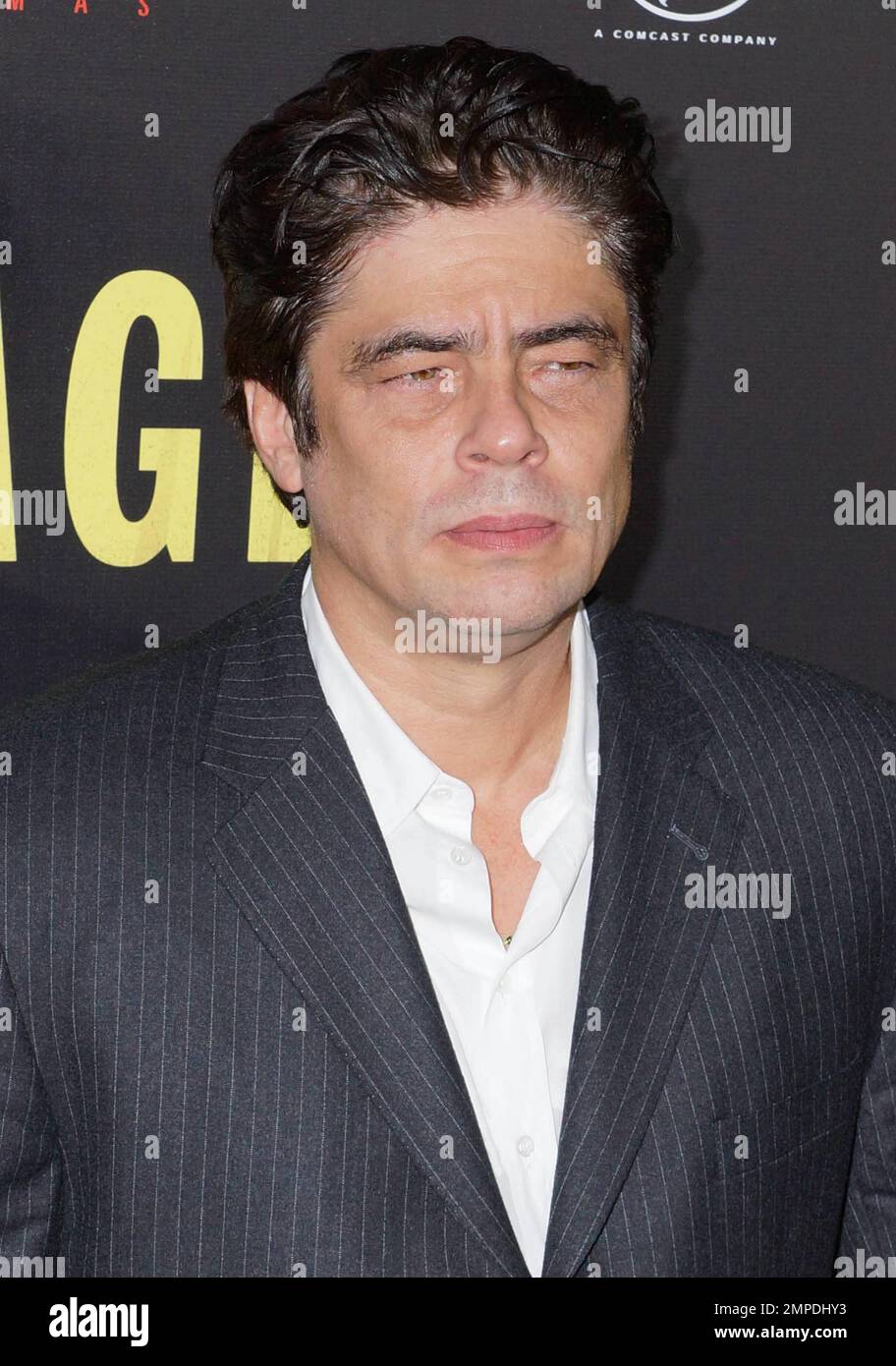 Actor Benicio Del Toro poses for media during a photocall for the movie ...