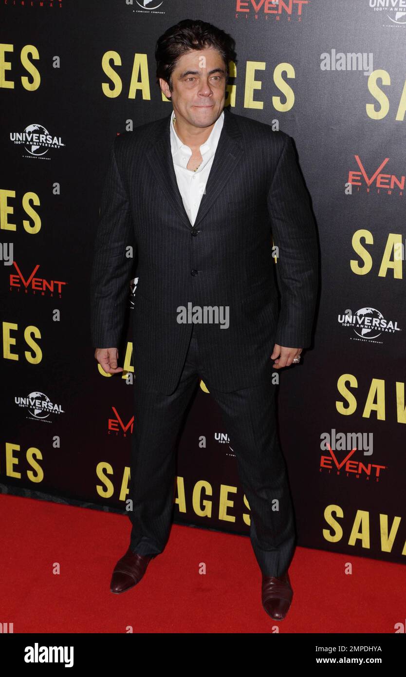 Actor Benicio Del Toro poses for media during a photocall for the movie ...