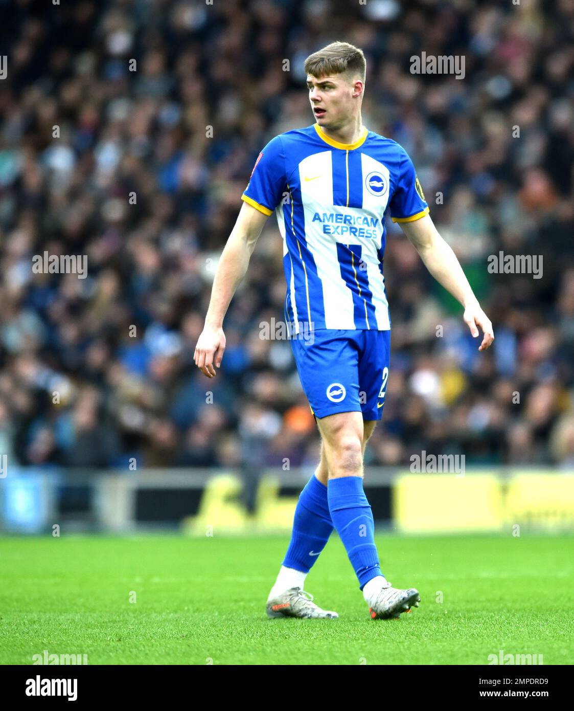 Footballer evan ferguson hi-res stock photography and images - Alamy