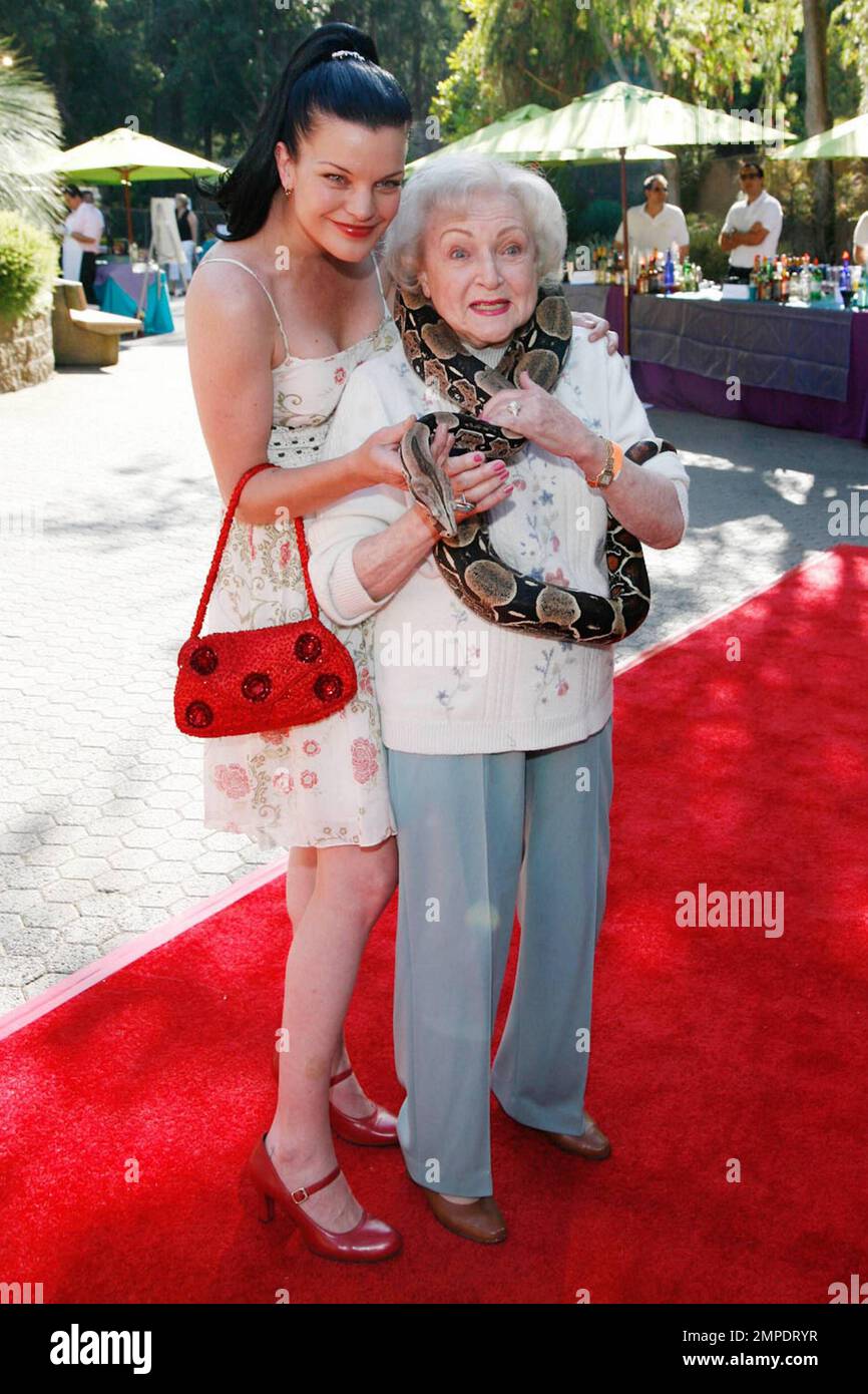 Veteran actress and current unexpected sensation Betty White, 88, poses ...