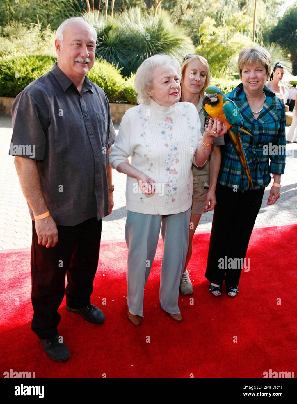 Veteran actress and current unexpected sensation Betty White, 88, poses ...