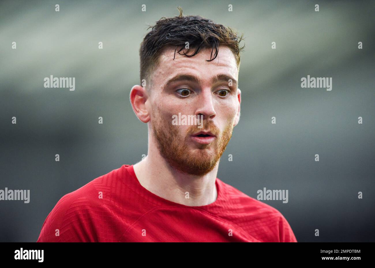 Andy robertson portrait hi-res stock photography and images - Alamy