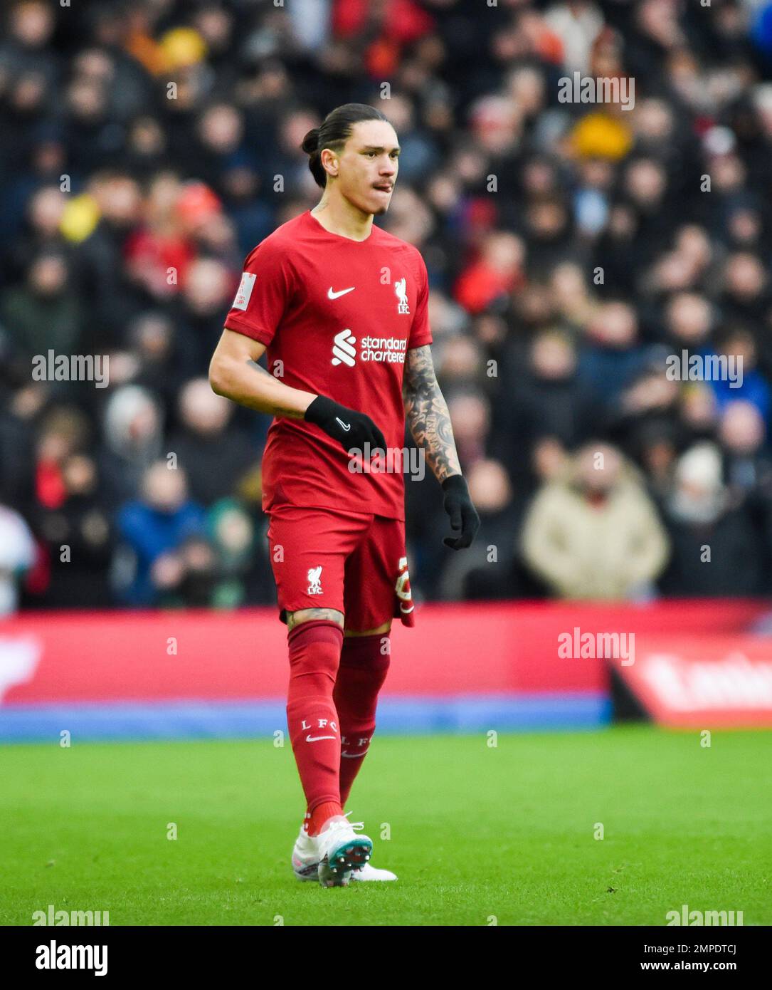 Darwin nunez portrait hi-res stock photography and images - Alamy