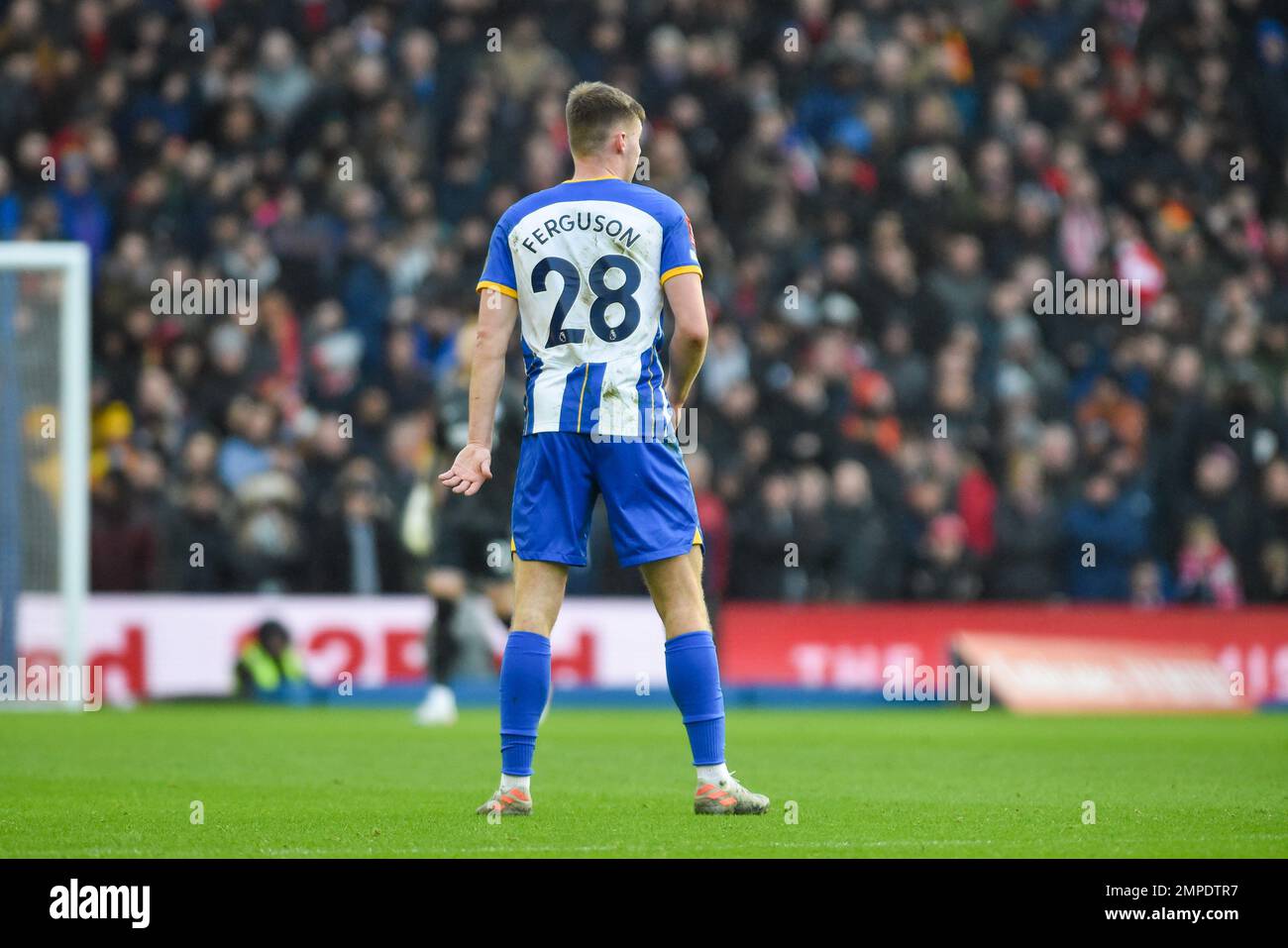 Football evan ferguson hi-res stock photography and images - Alamy
