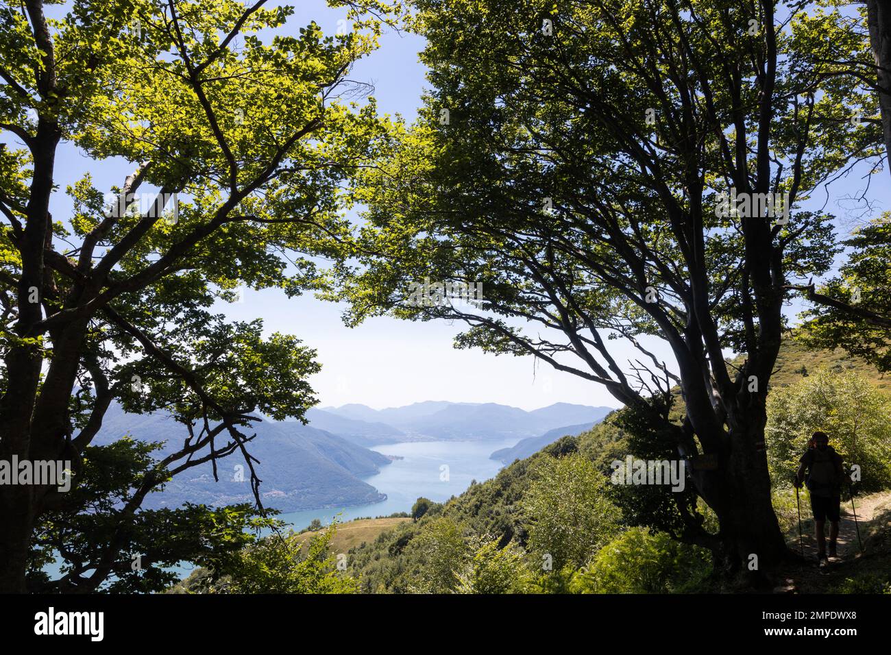 Foreground trees framing hi-res stock photography and images - Alamy