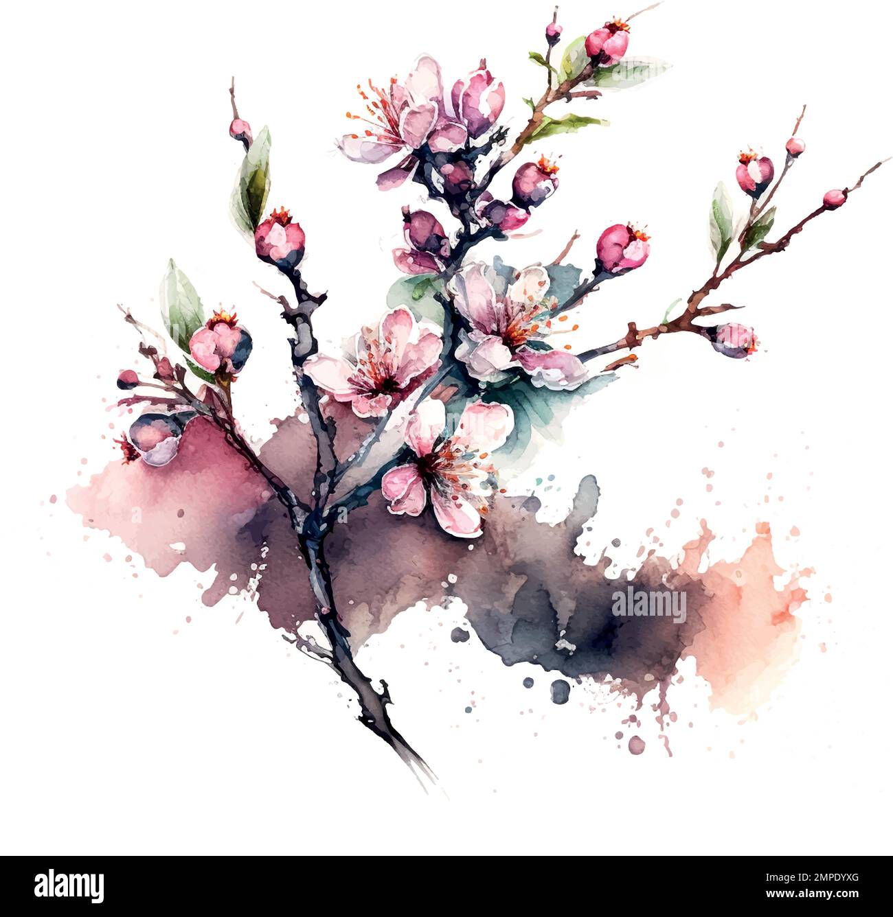 Cherry Blossom Tree Painting Watercolor