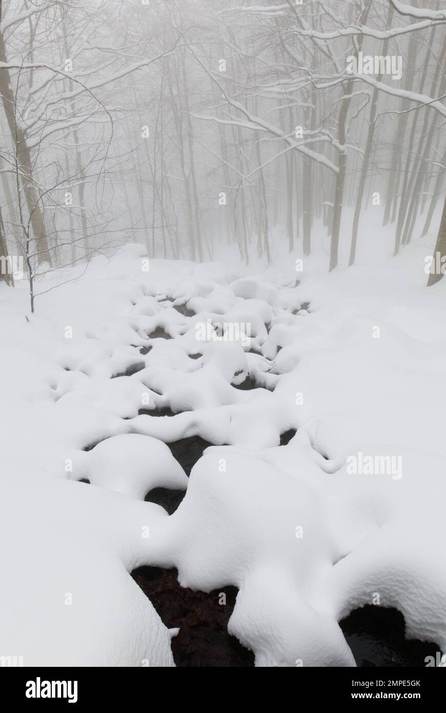 winter in appennino mountain, snow at Dardagna Fall, Italy Stock Photo ...