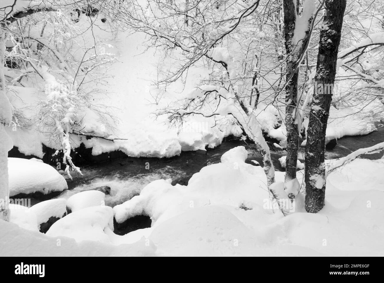 winter in appennino mountain, snow at Dardagna Fall, Italy Stock Photo ...