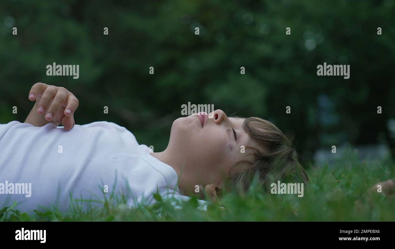 Relaxed child laid on grass at park. Carefree small boy lying outside in nature. Happy kid ...