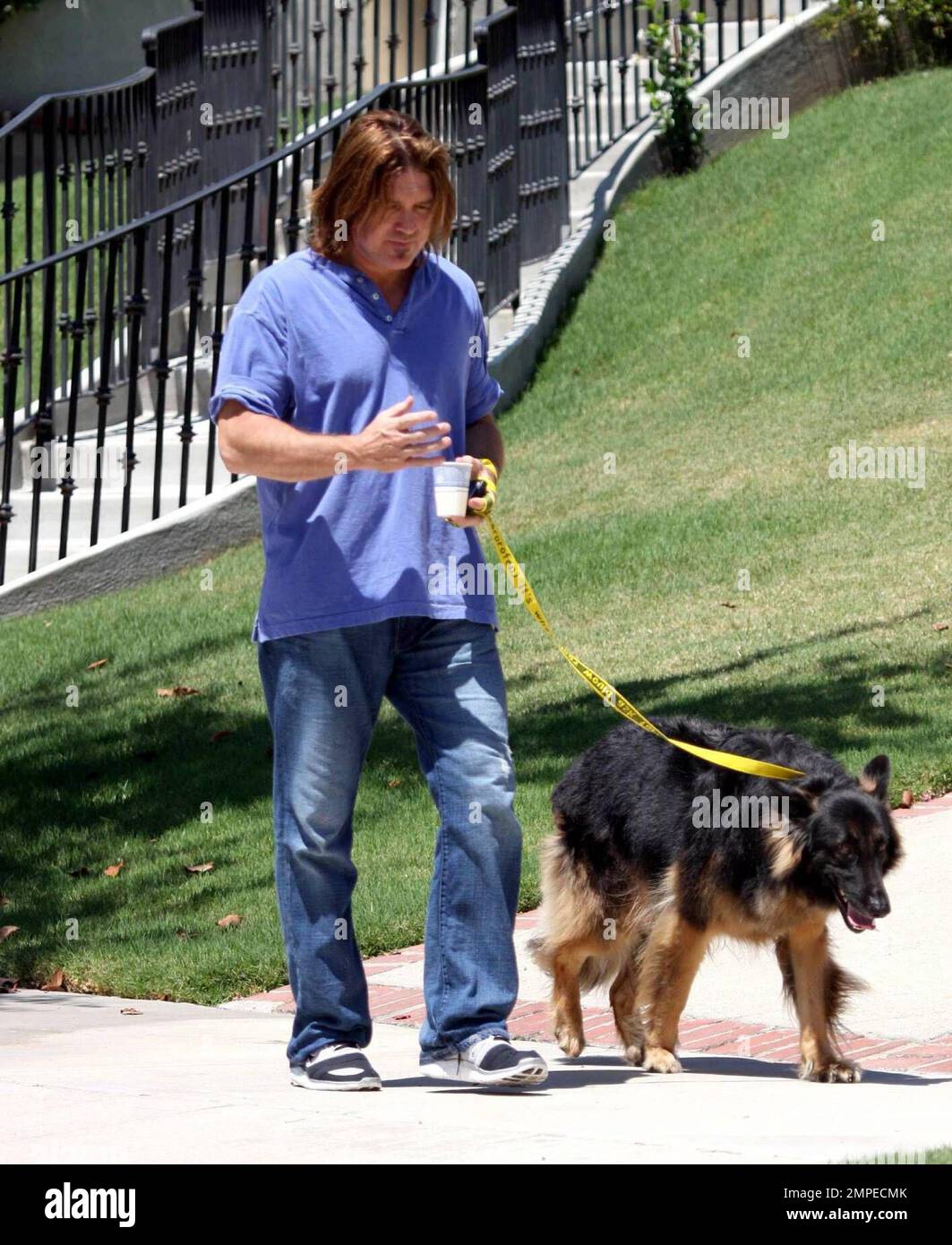 Is A Billy A Good Family Dog