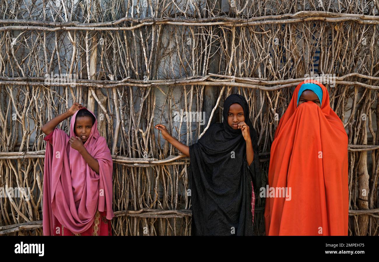 Somali refugee girls stand by the fence surrounding their hut at Dadaab ...