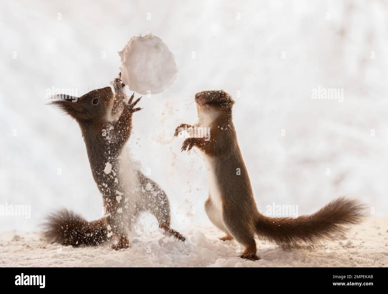 Exploding snow hi-res stock photography and images - Alamy