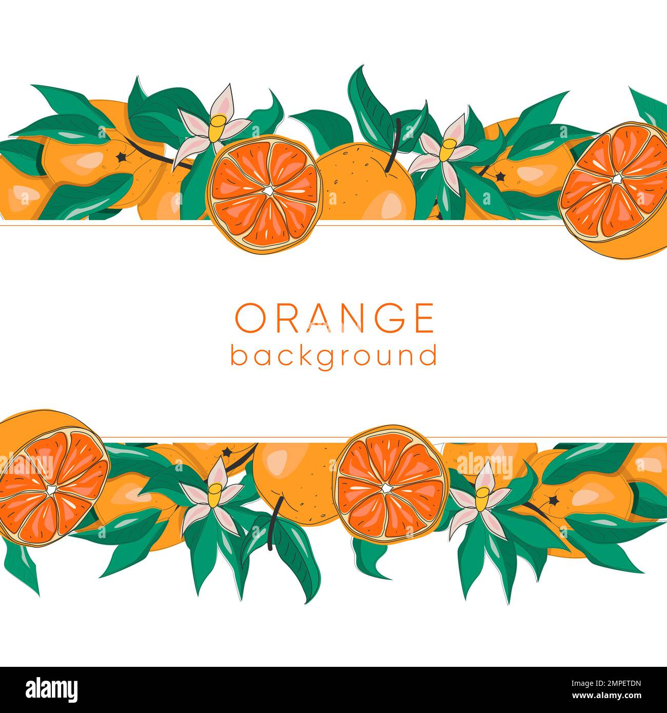Botanical background with oranges, branches, leaves and flowers. Card ...