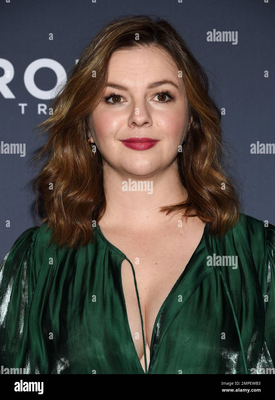 Actress Amber Tamblyn attends the 11th annual CNN Heroes: An All-Star ...