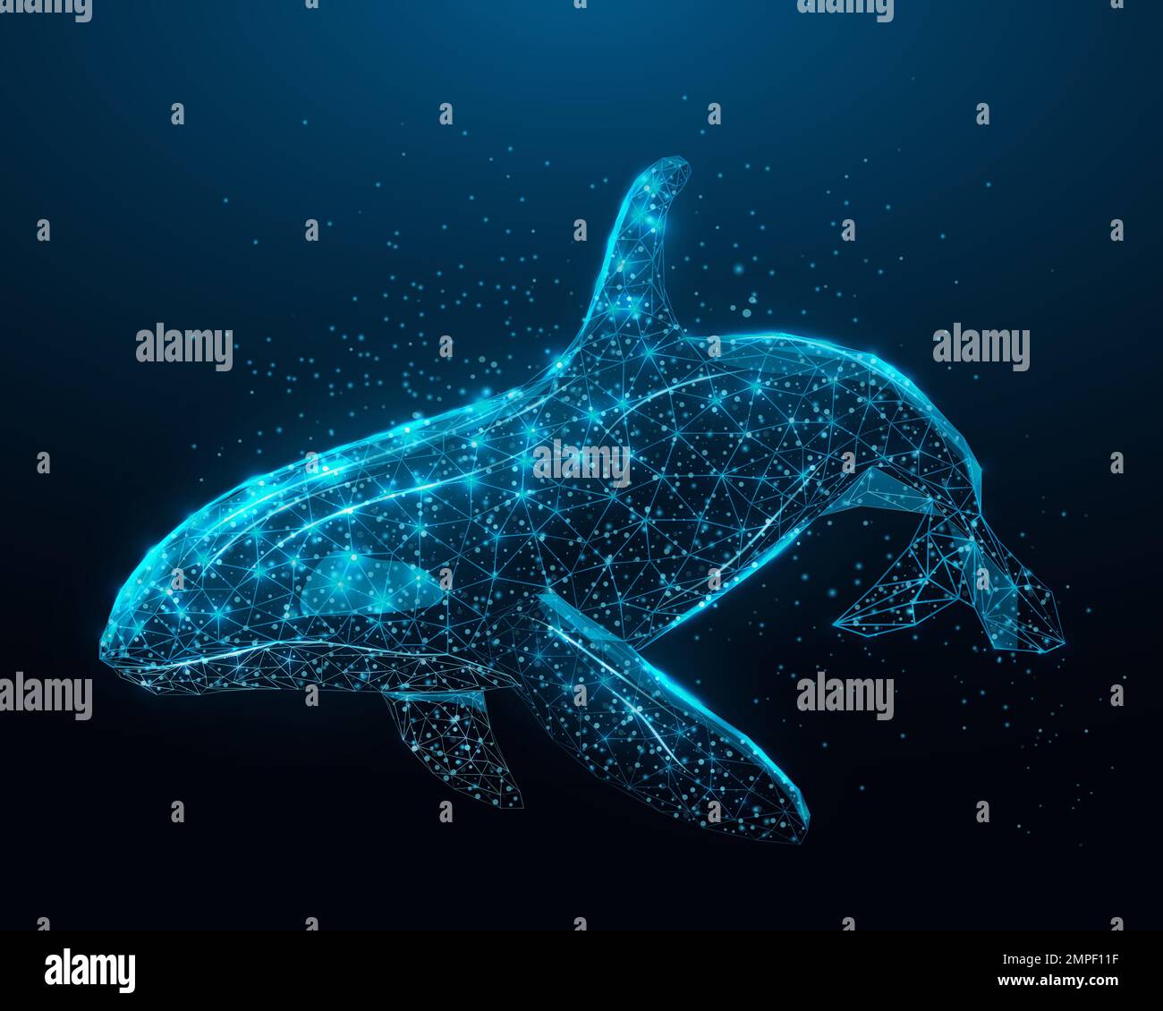 Killer whale. Wireframe glowing low poly Orca whale. Design on dark ...