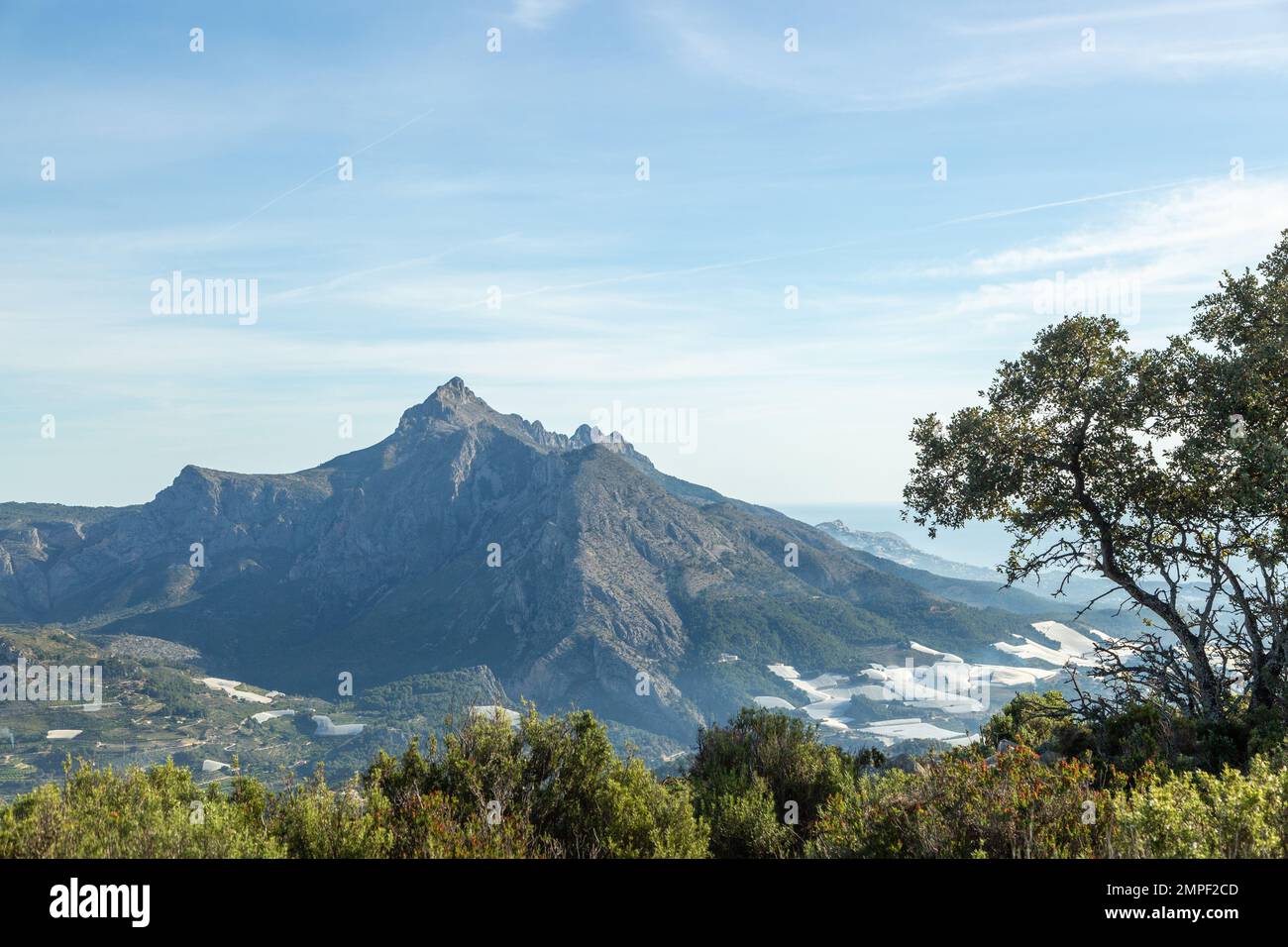 the top of Morro Blanc in the Serra de la Xorta hills with the peak of ...