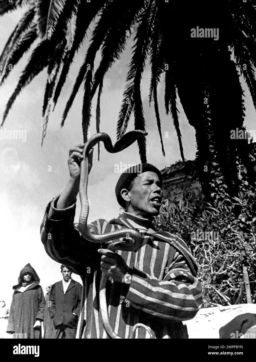 SNAKE CHARMER , TANGIER MOROCCO 1972 PIC MIKE WALKER 1972 Stock Photo ...