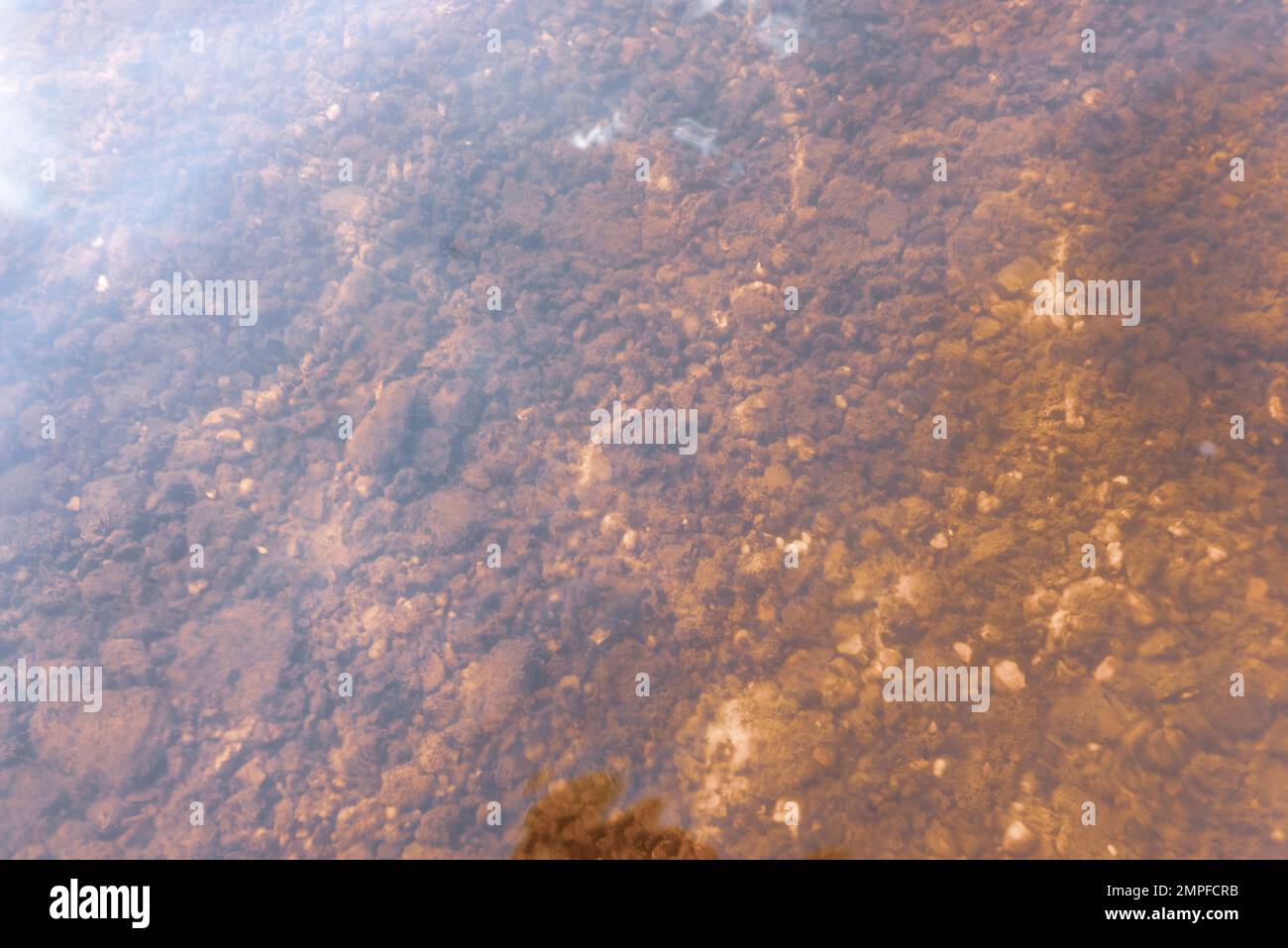 The bottom of the river through clear water. Natural texture ...