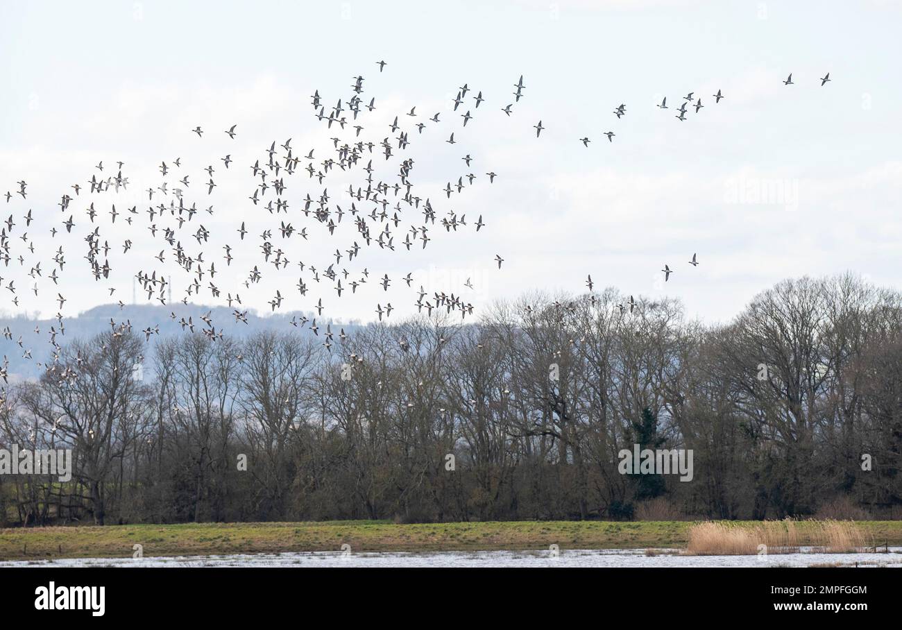 Sussex nature reserves hi-res stock photography and images - Alamy