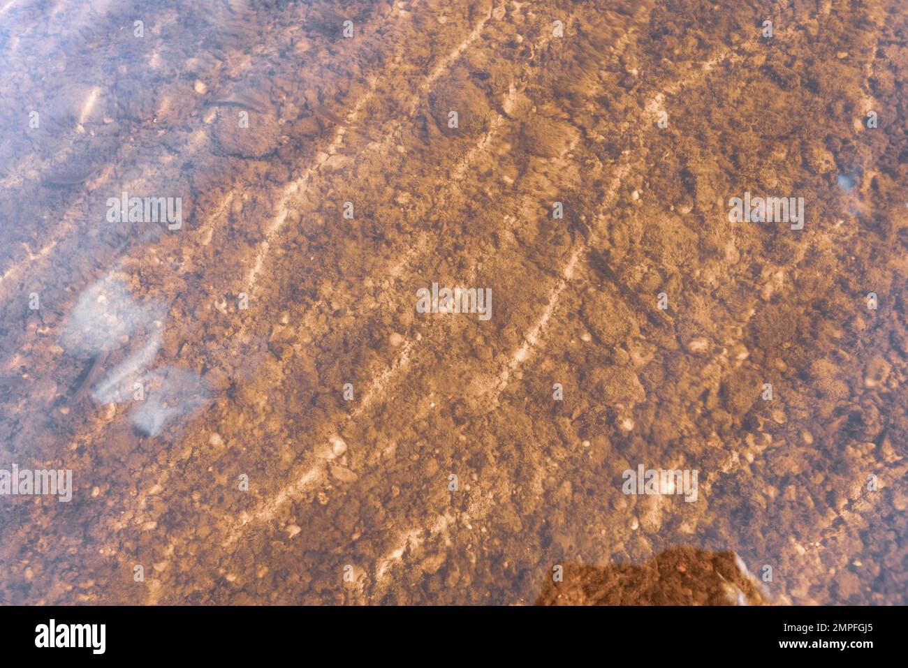 The bottom of the river through transparent water with reflection of ...