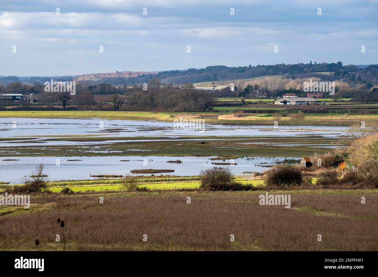 View across Pulborough Brooks RSPB Nature Reserve West Sussex UK Credit ...