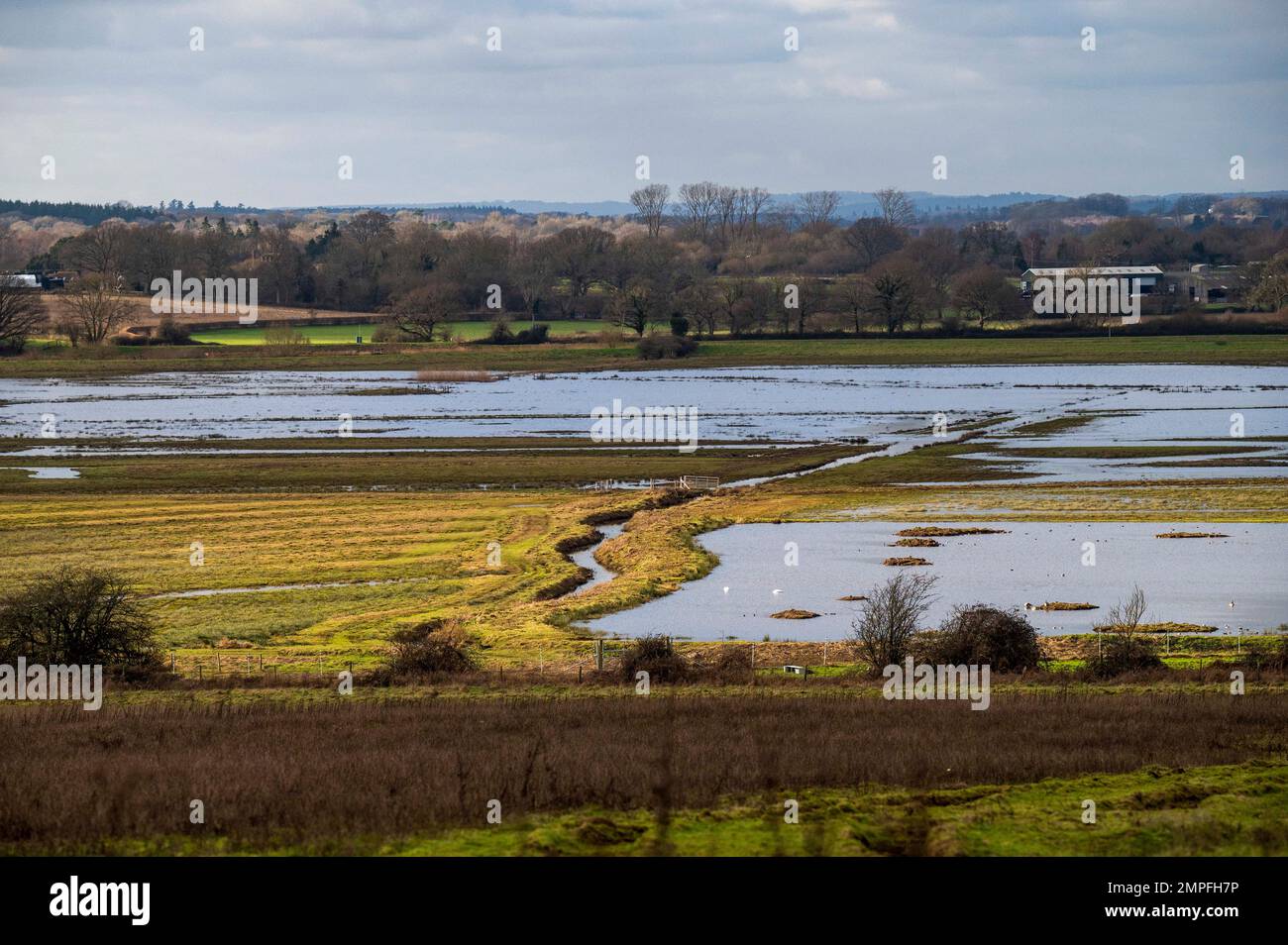 View across Pulborough Brooks RSPB Nature Reserve West Sussex UK Credit ...