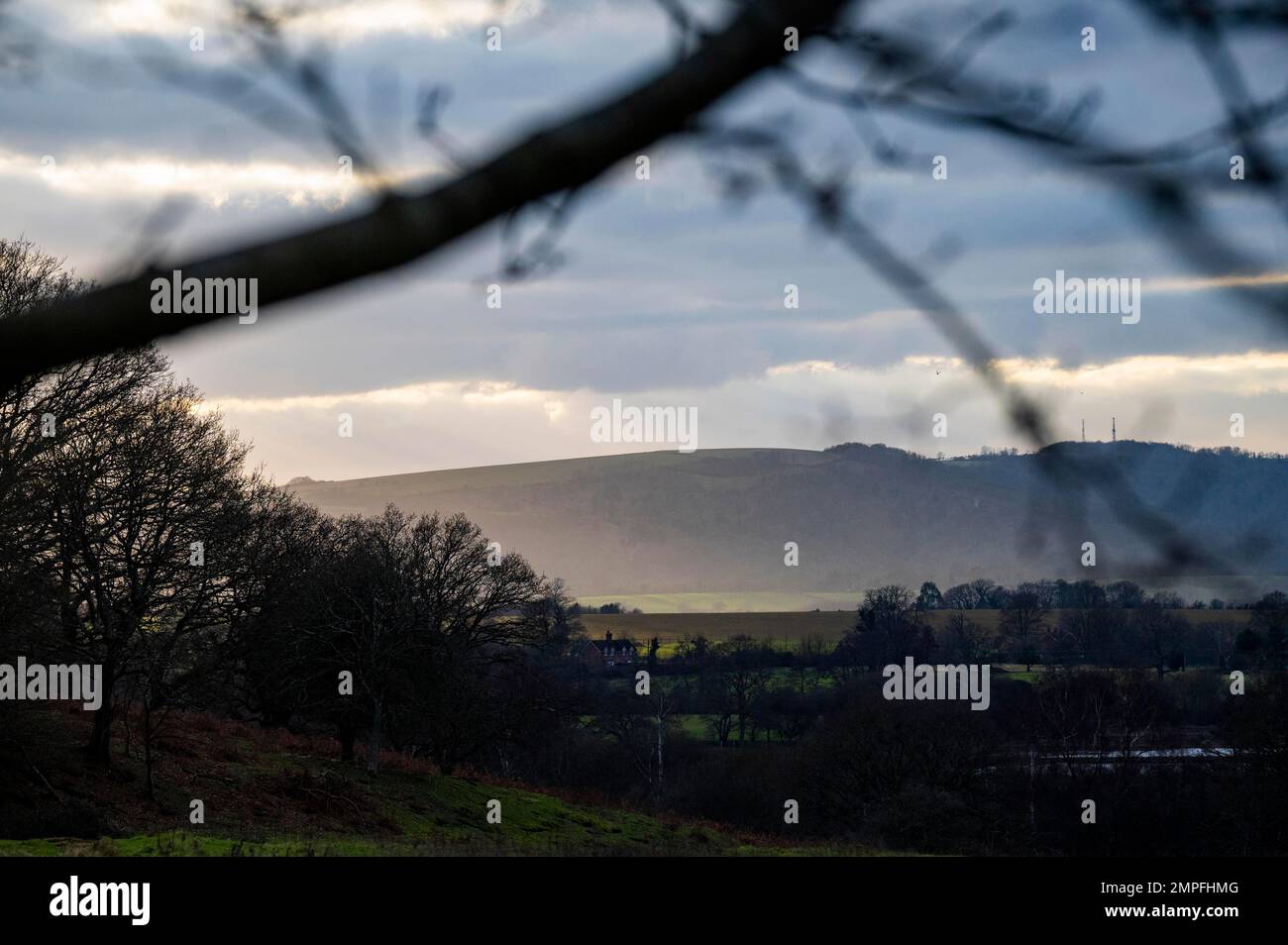 View across Pulborough Brooks RSPB Nature Reserve West Sussex UK Credit ...