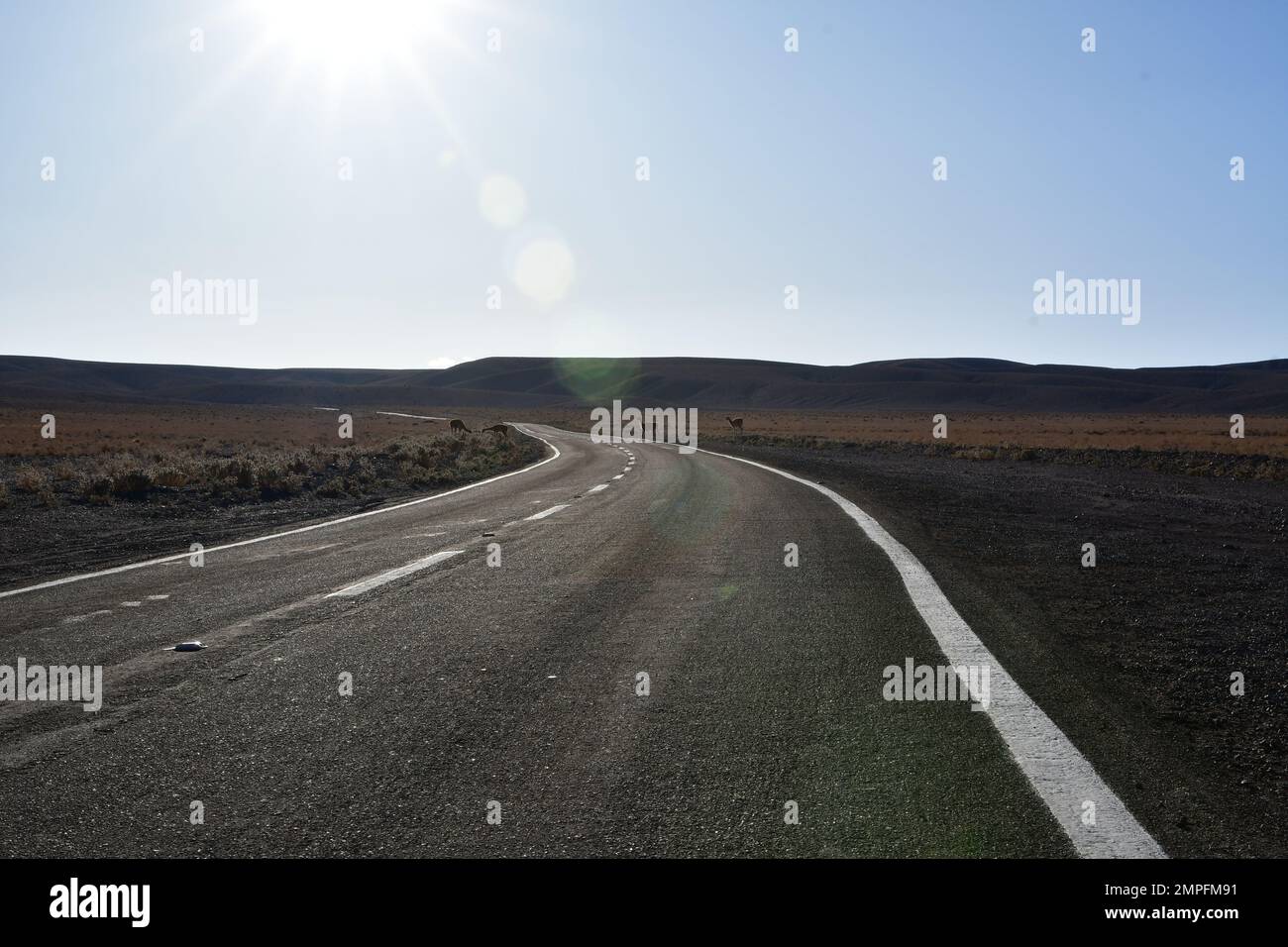 Lonely road curve desert bokeh chile South America Stock Photo - Alamy