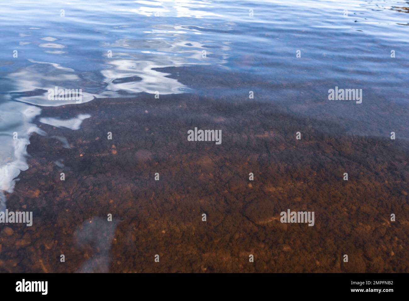 Bottom with stones of the river through clear transparent water with ...