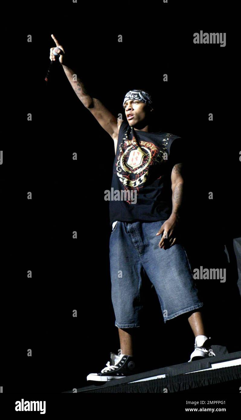 Rapper Bow Wow and singer Chris Brown performed in concert as part of ...