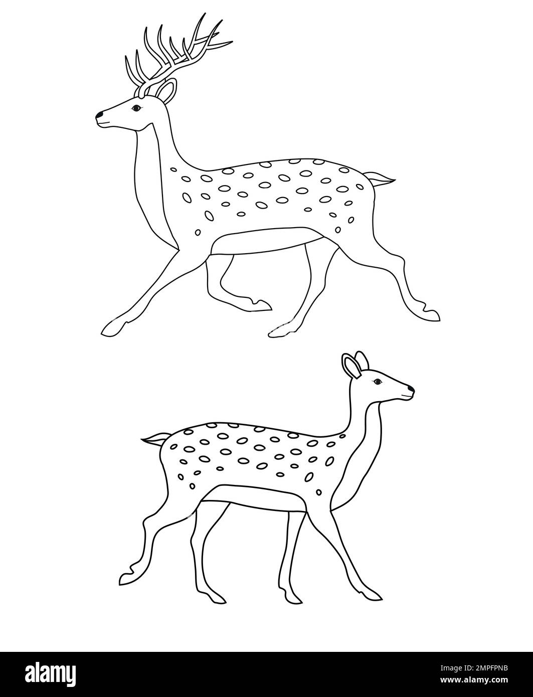 Vector two flat hand drawn outline deer isolated on white background ...
