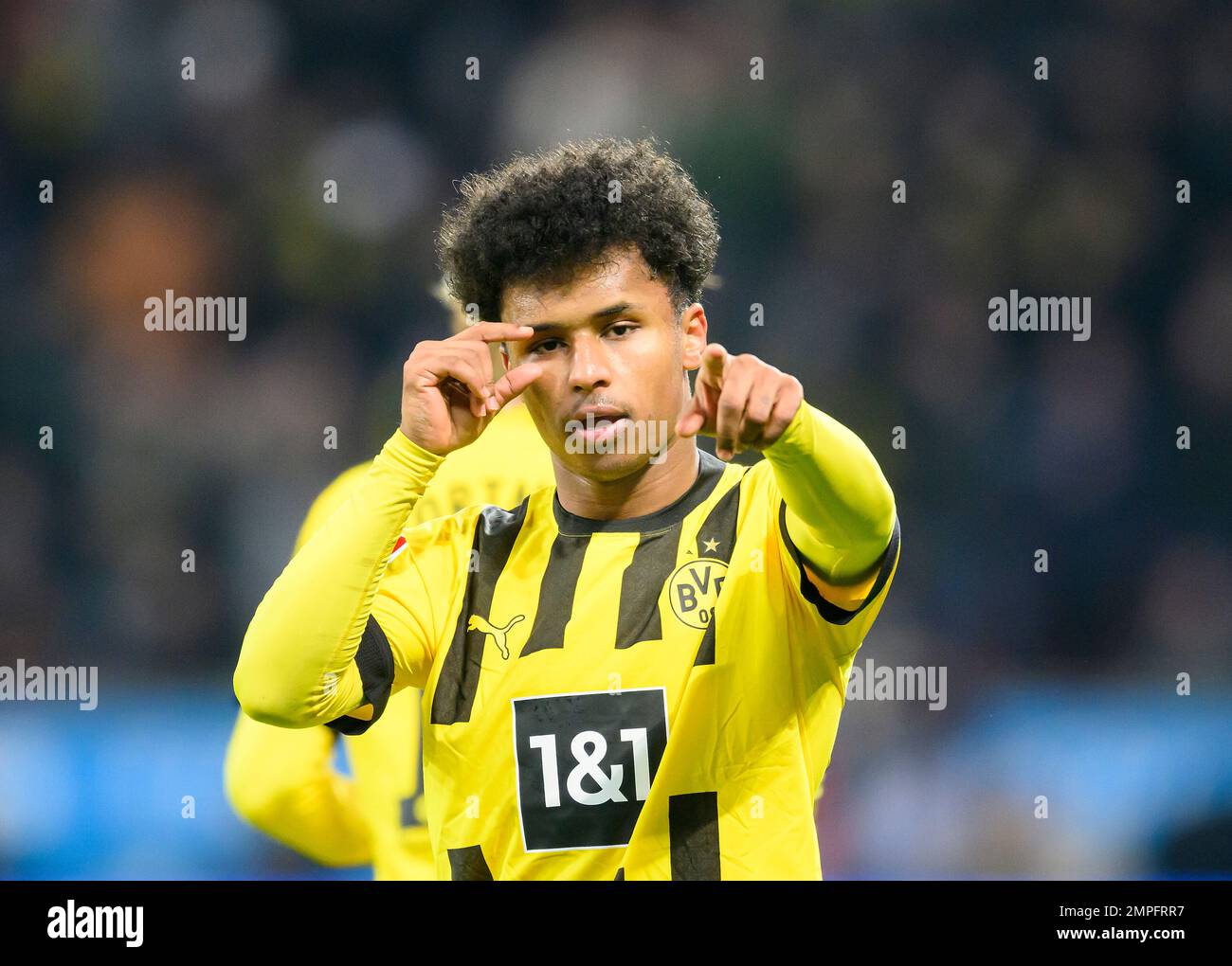 Football goal celebration half length hi-res stock photography and ...