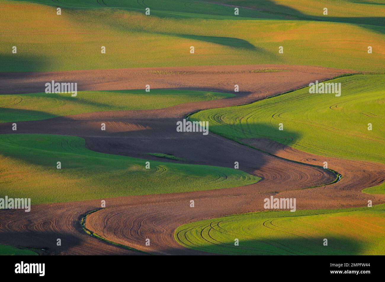Palouse wheat fields from Steptoe Butte, Washington Stock Photo - Alamy