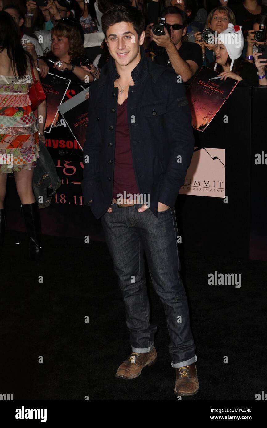 David Henrie at the world premiere of "The Twilight Saga: Breaking Dawn ...