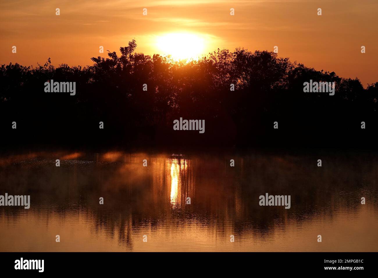 A river with trees in the forest in shadow during scenic sunset Stock ...
