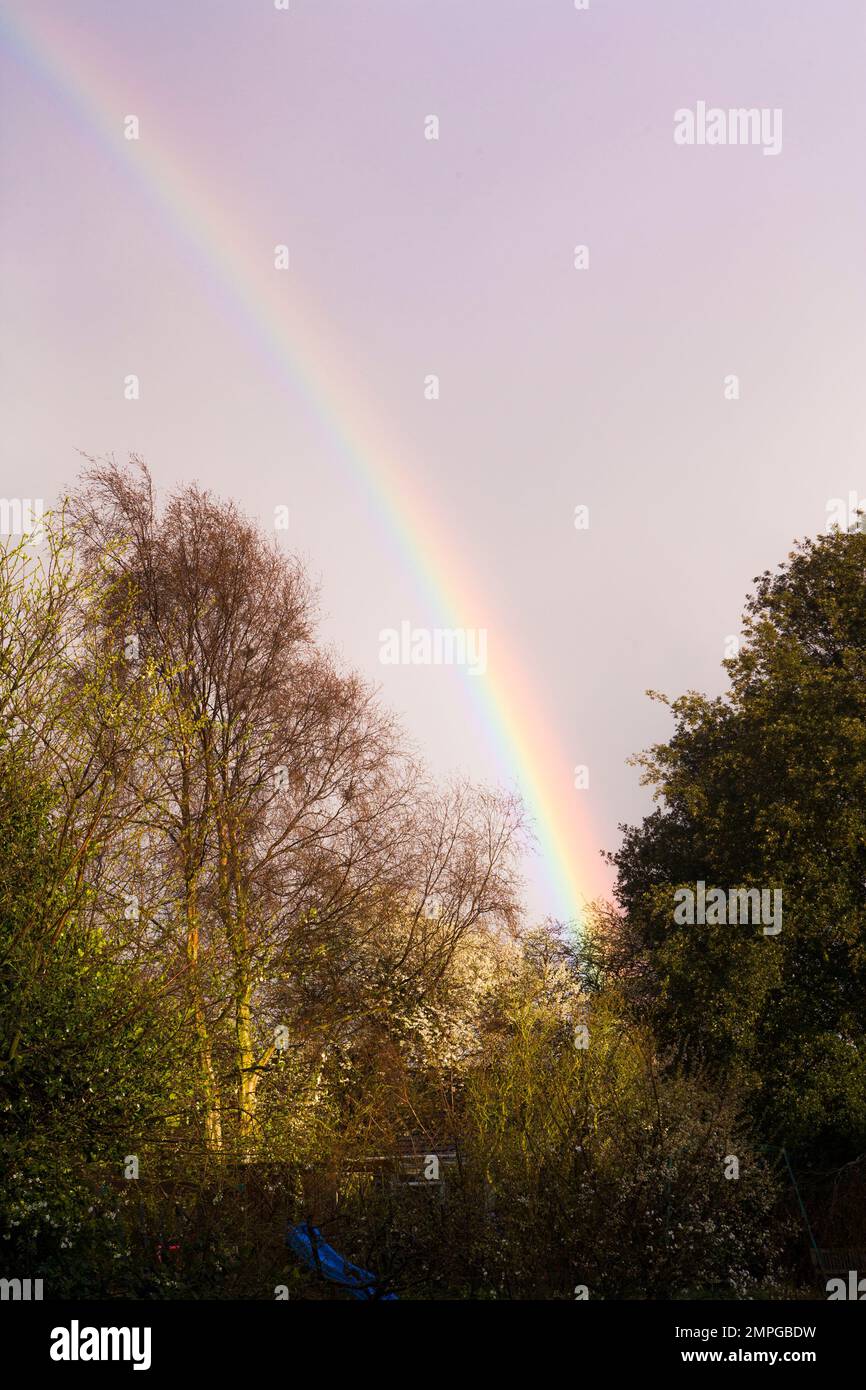 Rainbow between trees hi-res stock photography and images - Alamy