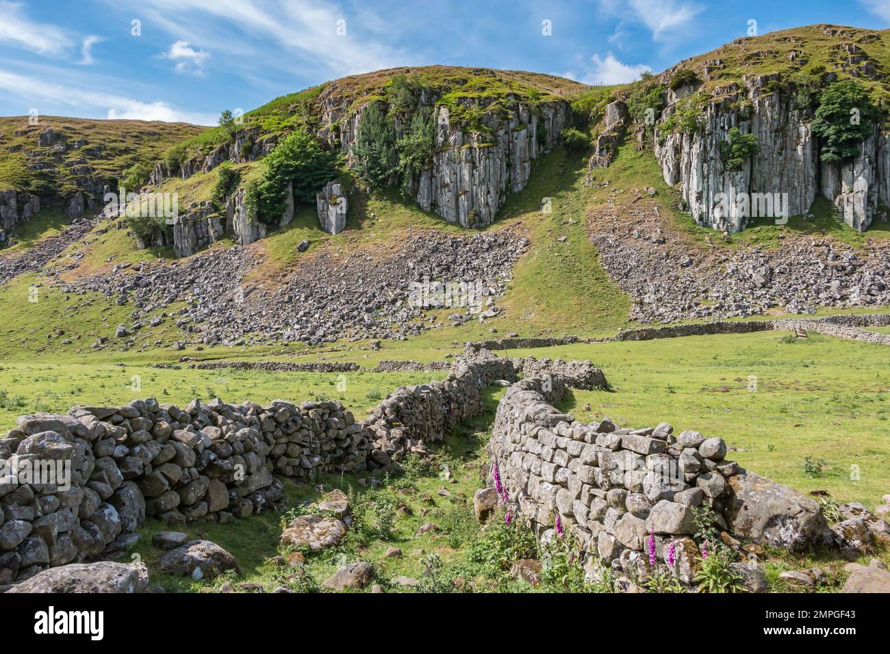 The dramatic dolerite cliffs of Holwick Scar, formed by volcanic action ...