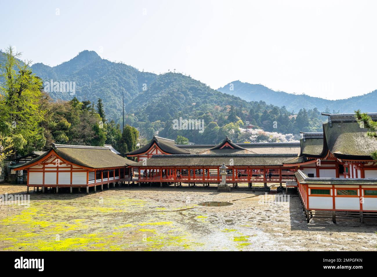 Beautiful scenic of Itsukushima shrine with mount Misen behind in ...