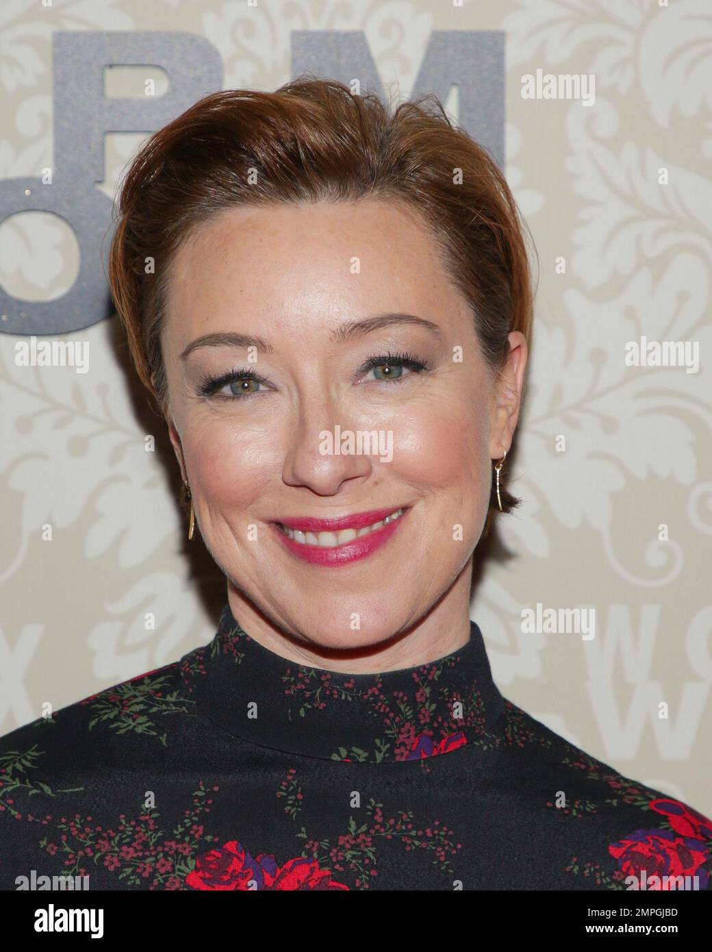 Actress Molly Parker attends the premiere party for Netflix's "Wormwood ...