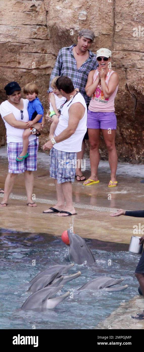 - Exclusive!! Popstar Britney Spears feeds the dolphins fish and takes ...