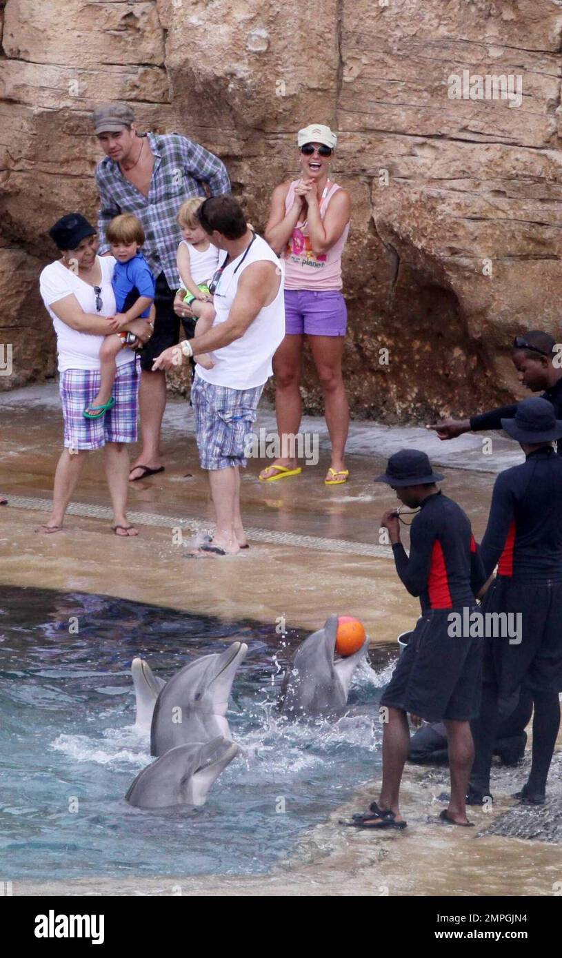 - Exclusive!! Popstar Britney Spears feeds the dolphins fish and takes ...