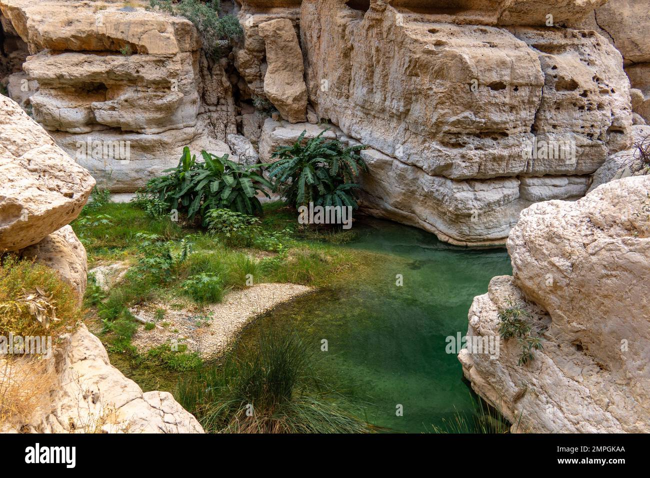Wadi Shab in oman Stock Photo - Alamy