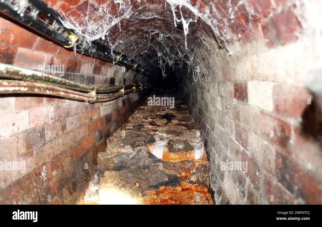 FILE - This is Monday, Sept. 25, 2017 file photo of a fatberg covering ...